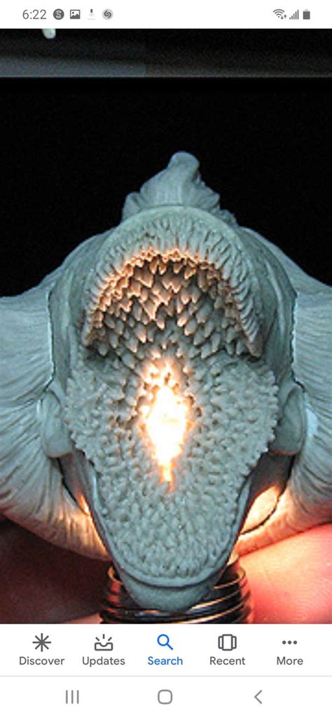 Pennywise Deadlights 2 By Goji4591 On Deviantart