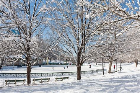 10 Best Boston Winter Activites From Curling To Rooftop Happy Hour In