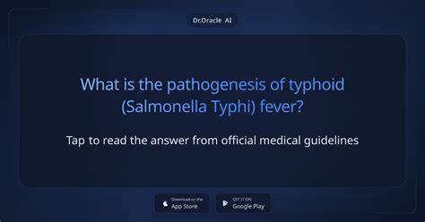 What Is The Pathogenesis Of Typhoid Salmonella Typhi Fever