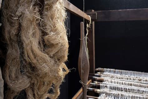 Decortication Line Biocircular Fiber