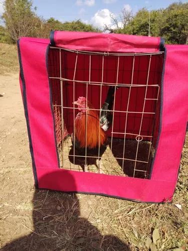 Funda Para Rascadero Gallos De 60x60x60cm Mercadolibre