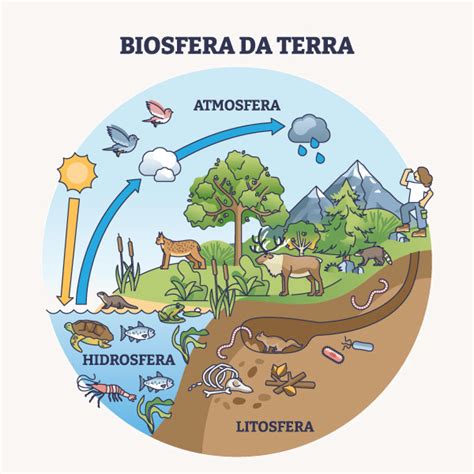Diagrama Da Biosfera Terrestre