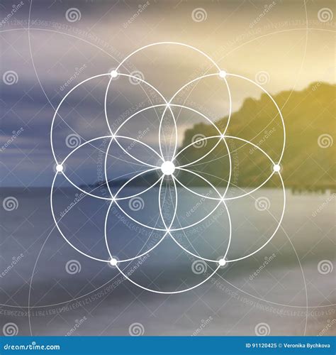 Flower Of Life The Interlocking Circles Ancient Symbol Sacred Geometry Mathematics Nature