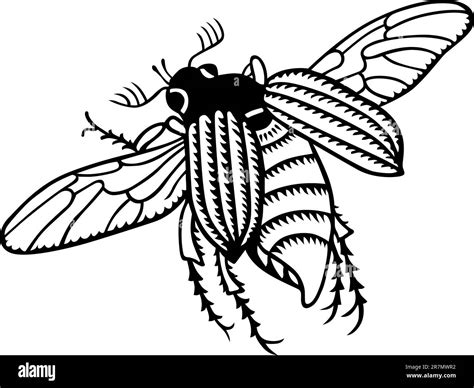 Insect Flying On White Stock Vector Image And Art Alamy