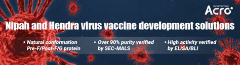 Nipah And Hendra Virus The Next Targets For Structure Based Vaccine Design