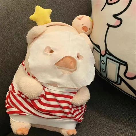 热门头像 呆呆可爱的头像分享~ 知乎