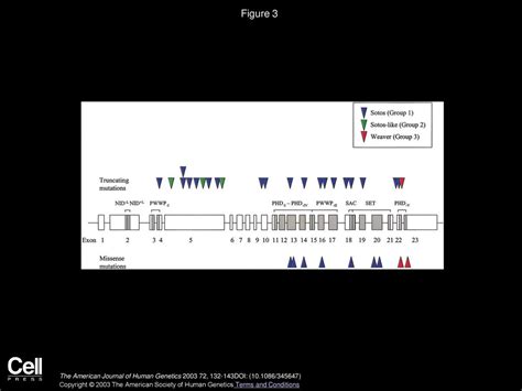 Nsd1 Mutations Are The Major Cause Of Sotos Syndrome And Occur In Some
