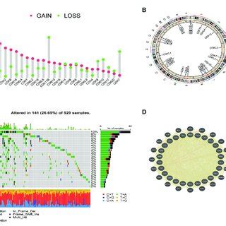 Cell Cycle Regulation Steps And Expression Of CDK Family Genes A Download Scientific Diagram