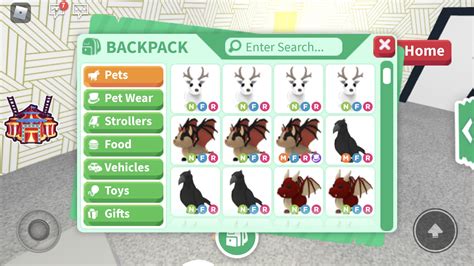 Как Быстро Прокачать Петов В Адопт Ми Лучшая Фото Подборка