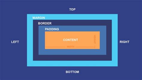 What Is Padding And Margin Elior Oz Posted On The Topic Linkedin