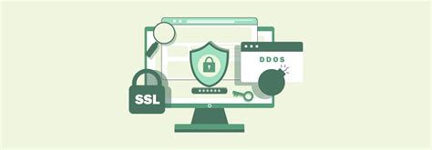 Why Choose Magento 2 Web Hosting Providers With Ddos Protection