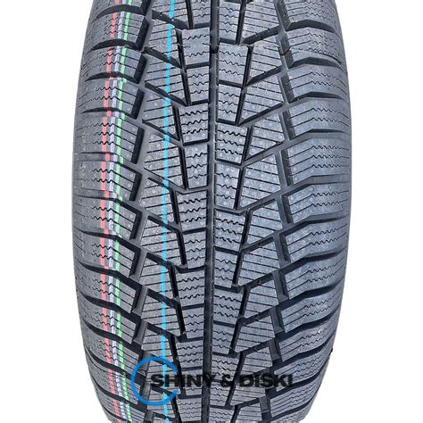 Шини Gislaved Euro Frost 6 195/65 R15 91T - купити гуму за найкращою ...