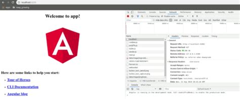 Fix Cors Issues Between Spring Boot And Angular On Localhost