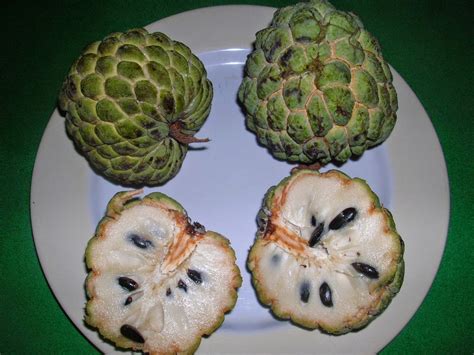 All Problems Solutions Benefits Of Custard Apple
