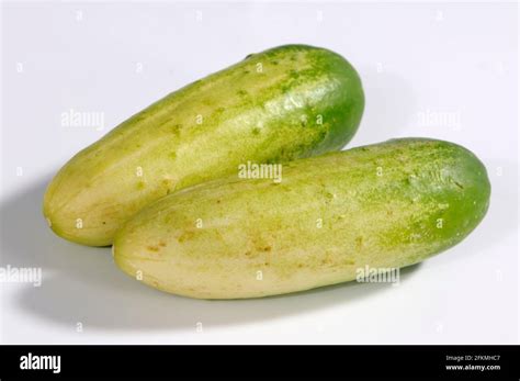 Thai Mini Cucumber Cucumber Stock Photo Alamy
