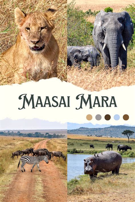 masai mara Pinterest Pin (1) - Free Two Roam