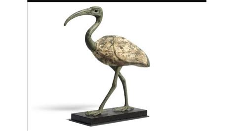 أبو منجل المصري بـ80 ألف جنيه إسترليني صحيفة الخليج