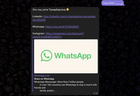 Github Tanirzumtelegrambot