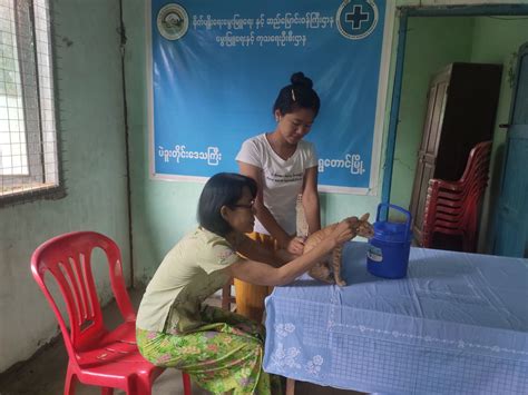 ရွှေတောင်မြို့နယ်တွင် ကမ္ဘာ့ခွေးရူးရောဂါတိုက်ဖျက်ရေးနေ့အထိမ်းအမှတ်အဖြစ