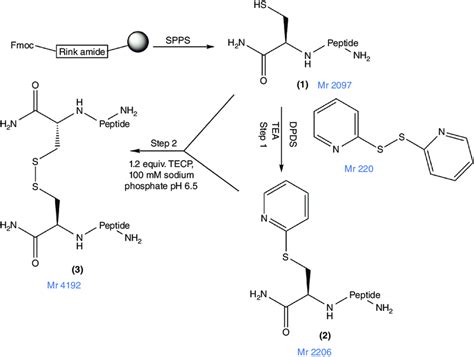 The Disulfide Bond Formation Strategy For Msi 78 4 20 Dimer 1 Download Scientific Diagram