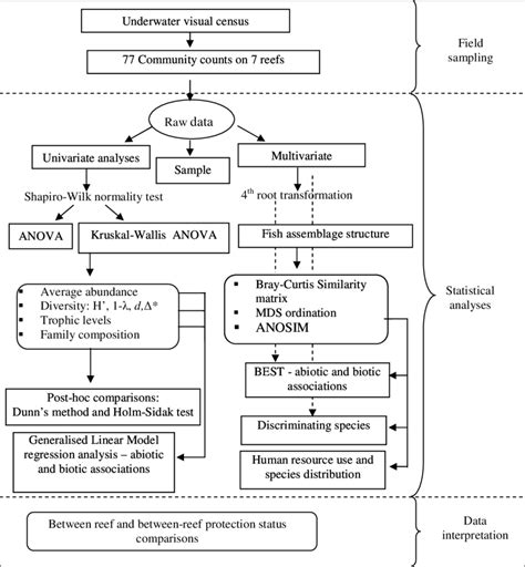 Diagrammatic Summary Of The Sampling Protocol And Data Analyses Download Scientific Diagram