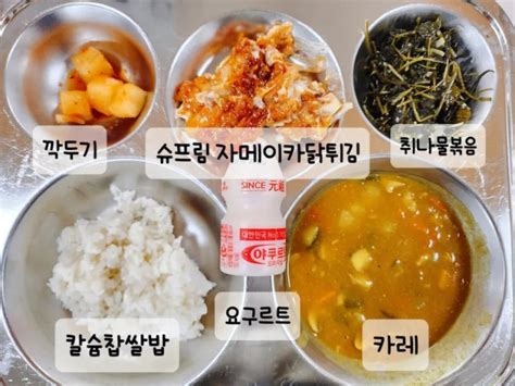 맛있는학교급식 카레라이스 슈프림자메이카닭튀김 취나물볶음 요구르트 네이버 블로그