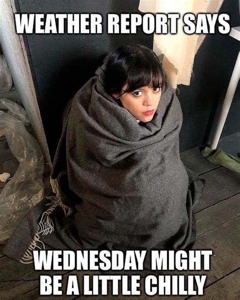 40 Wednesday Addams Memes From The Coolest Netflix Series Bored Panda