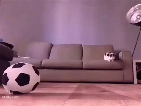 Skills On Imgur Skills On Imgur