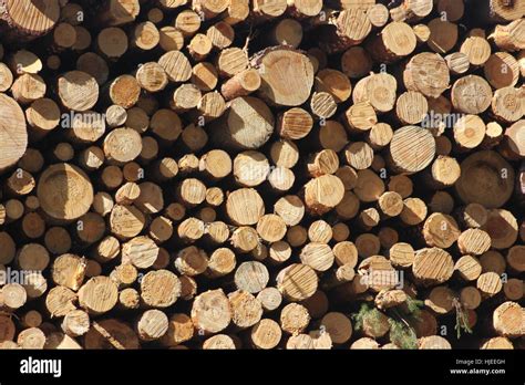 Tree Wood Trunk Raw Material Stacked Material Tree Engine Drive Motor Stock Photo Alamy