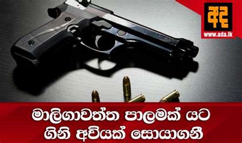 මාලිගාවත්ත පාලමක් යට ගිනි අවියක් සොයාගනී Ada Online