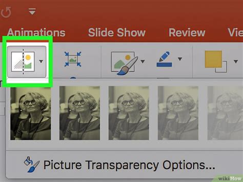 How To Change Transparency In PowerPoint Windows Mac
