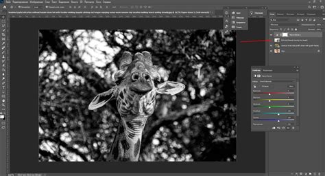 Как сделать фотографию черно белой в Photoshop и бесплатных онлайн редакторах