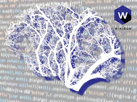 Application Decay And The Burden Of Data Driven Algorithm Training