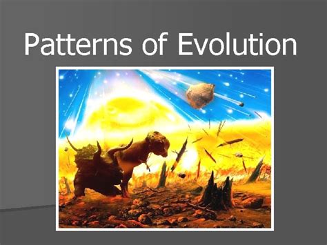Patterns Of Evolution Macroevolution Largescale Evolutionary Patterns And