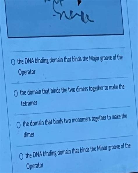 Solved Identify The Domain Labeled 1 In The Figure