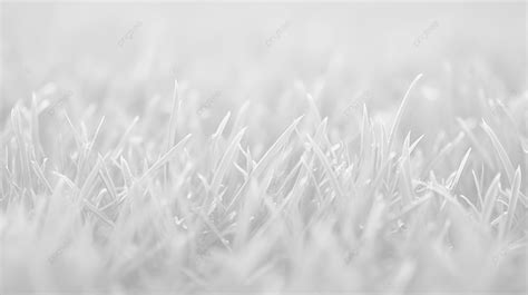 무성한 초원 텍스처 녹색 필드의 시각적 향연 골프장 골프 코스 잔디 배경 Png 일러스트 및 이미지 에 대한 무료 다운로드 Pngtree