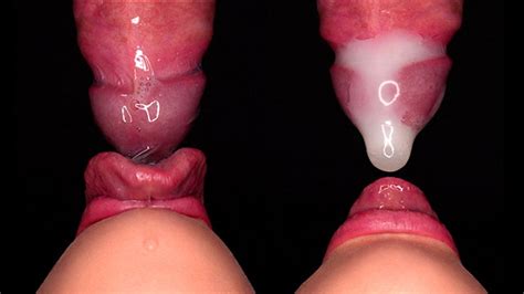 Close Up Best Bottom View Condom Blowjob She Broke The Condom And