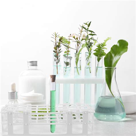 Test Tube Rack Multi Hole Test Tube Storage Rack T Grandado