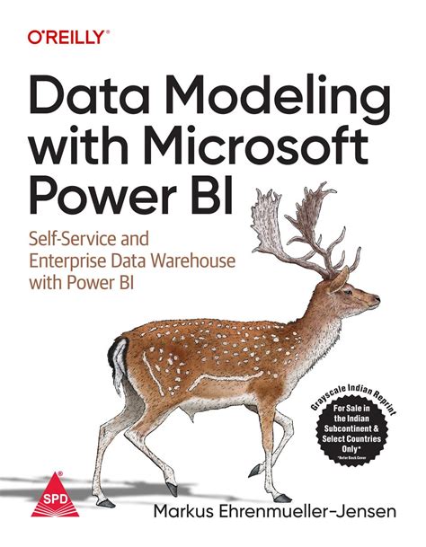 Buy Data Modeling With Microsoft Power Bi Self Service And Enterprise Data Warehouse With Power