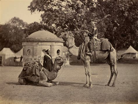 Путешествие принца Уэльского в Индию в 1875-76. Часть 1: humus ...