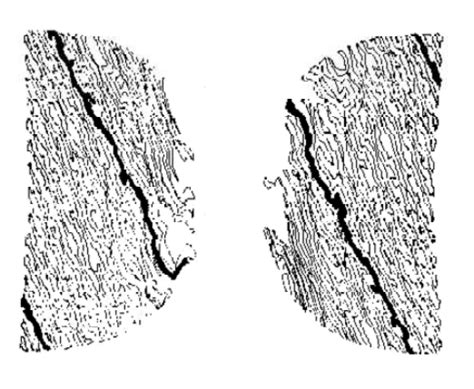 Form Constants And The Visual Cortex Countyourculture