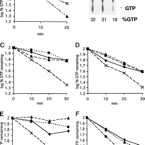 Summary Of Clinical Symptoms Specific For Tsc In The Mutation Carriers Download Table