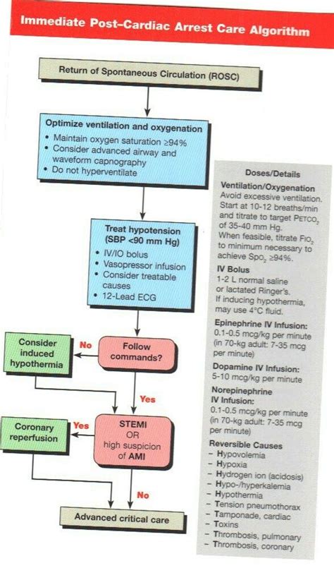 Advanced Cardiac Life Support Acls Rosc