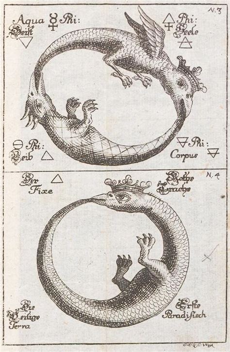 Dark Silence In Suburbia Ouroboros Alchemy Alchemy Dragon Ouroboros