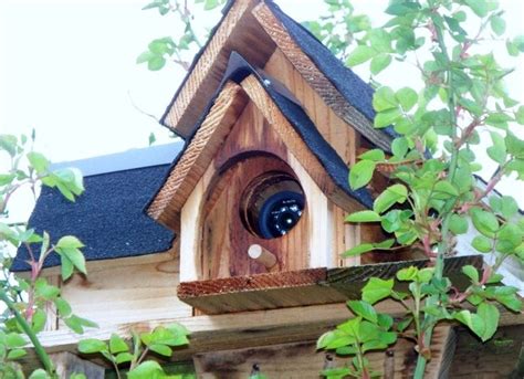 Creative Ways To Hide Outdoor Security Cameras House For Rent