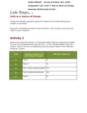 Lab Report Cell Energy Unit Lab Deidra Mitchell Survey Of Science Mrs Smith Assignment