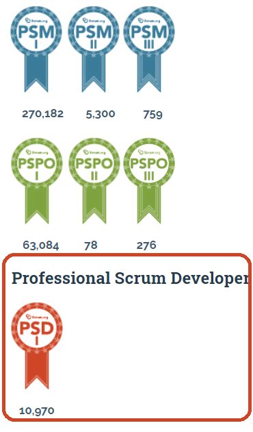 Professional Scrum Developers And Their Importance