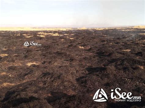 Чойбалсан суманд гарсан хээрийн түймрийг бүрэн унтраажээ Isee Mn