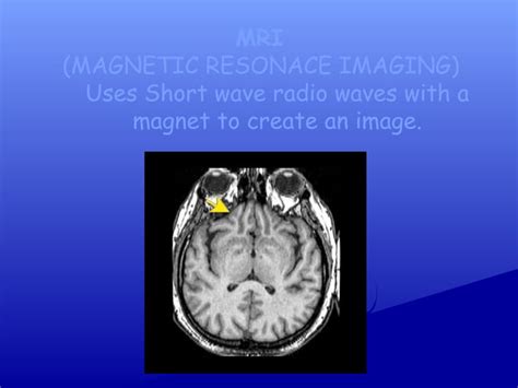 Electromagnetic Spectrum Power Point Ppt Free Download