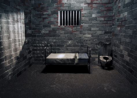 Buy Beleco Prison Backdrop 10x65ft Fabric Jail Cell Bars Photography
